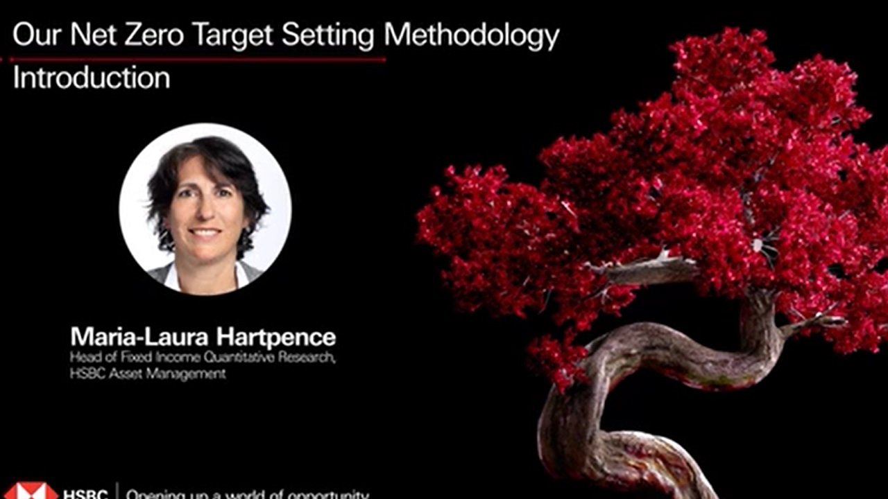 HSBC On the Road to Net Zero - Introduction