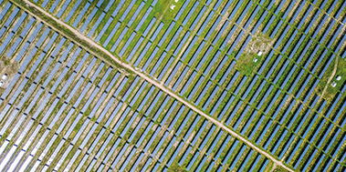 Climate Growth Partners